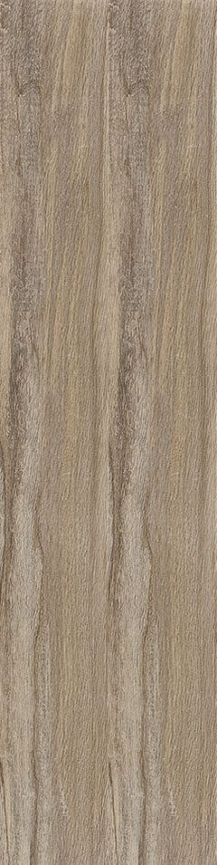 COTTO Italia คอลเลคชั่นกระเบื้องคอตโต้ อิตาเลีย | COTTO