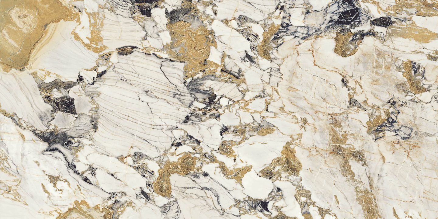 Etoile de REX Archives - COTTO