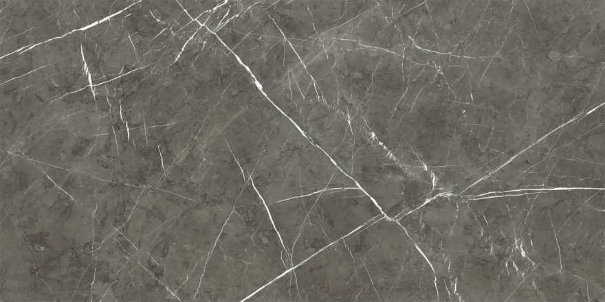 Charming Amber_Prexious of REX - COTTO