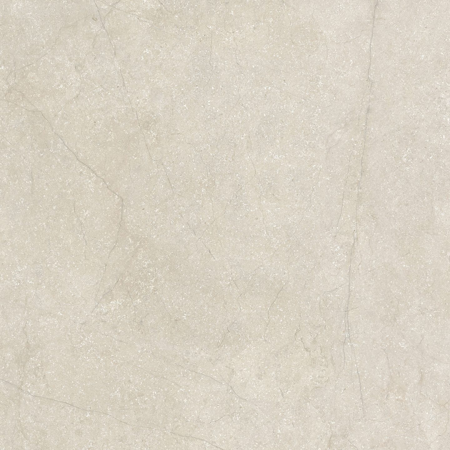 SHELL_STONE LIFE - COTTO