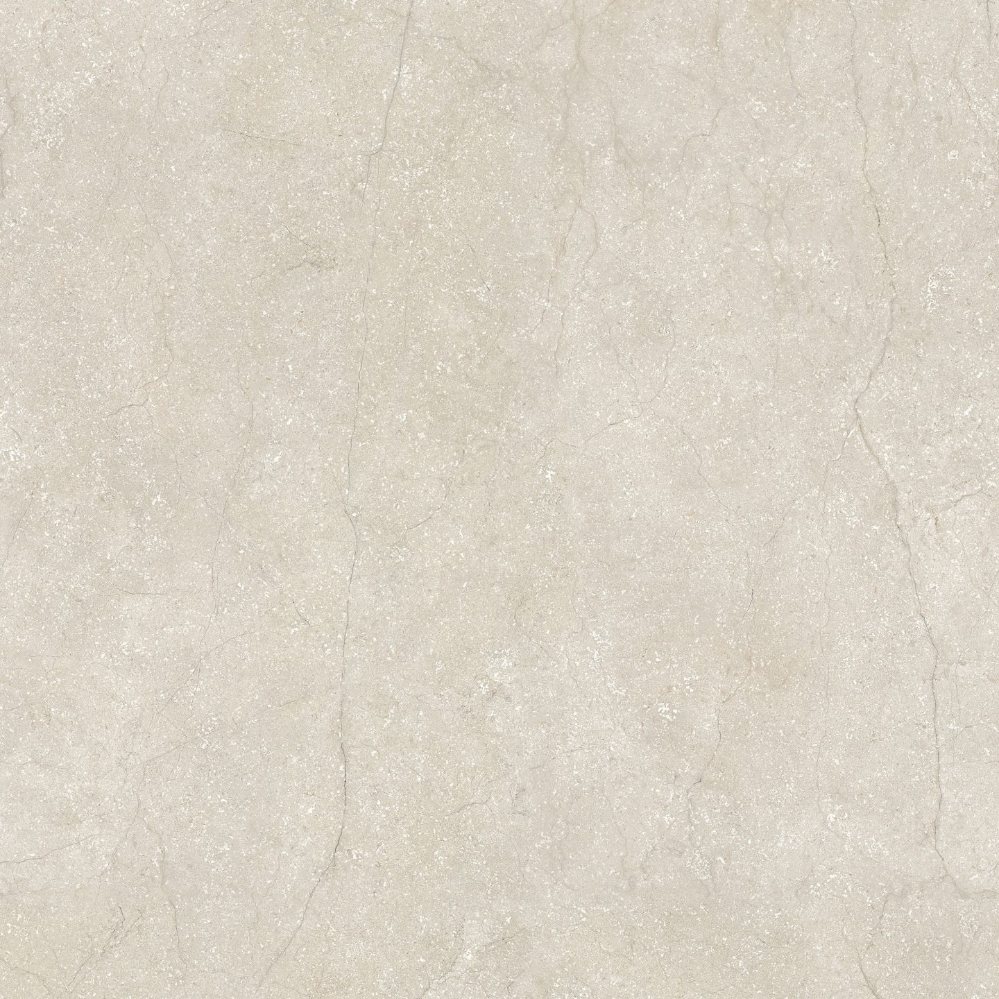 SHELL_STONE LIFE - COTTO